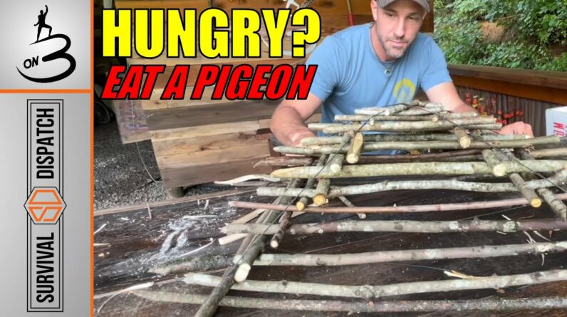 Canoe Adventure | ON3 Jason Salyer